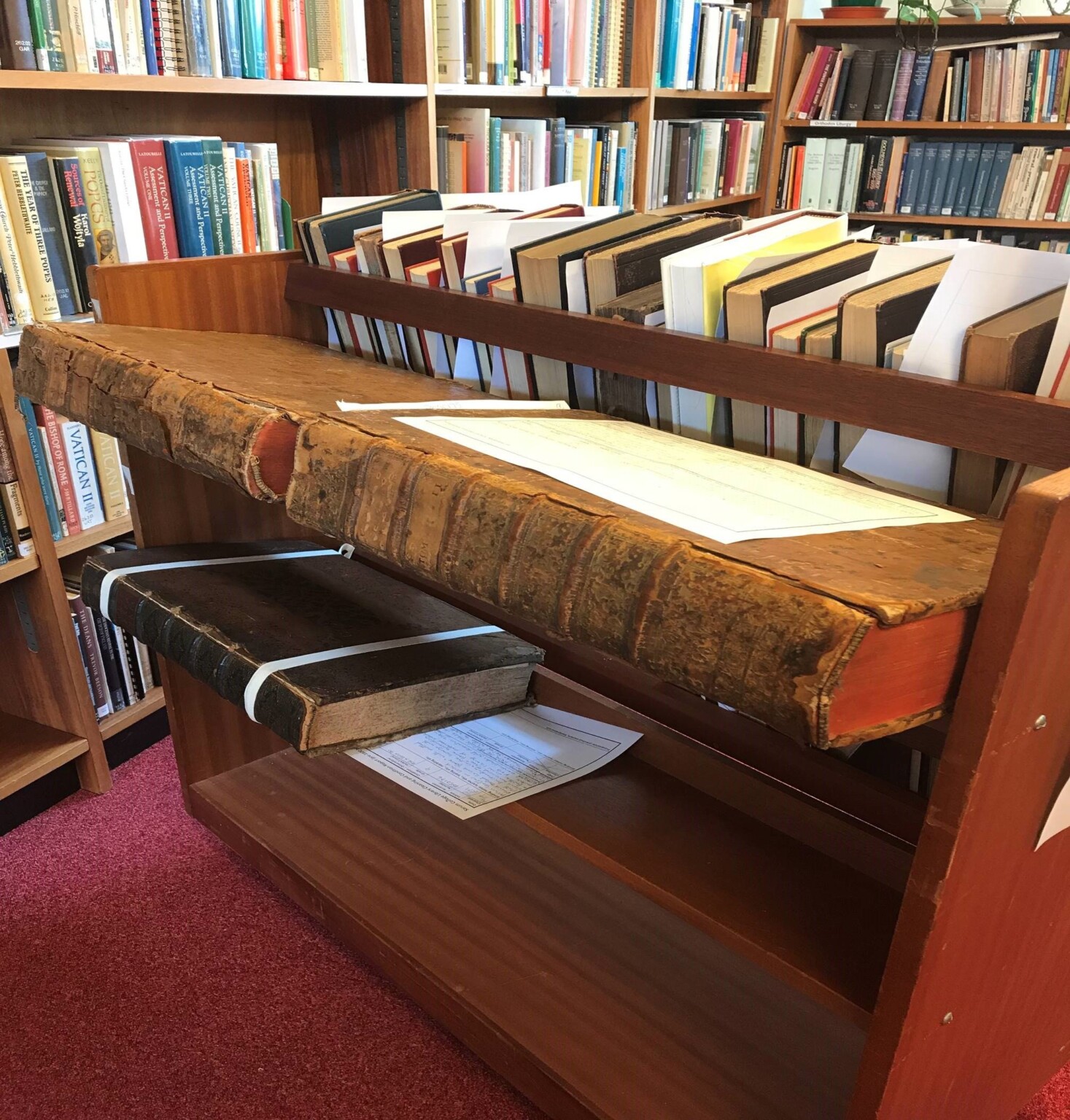 Library Book Cleaning Project: Dumbstruck - Sarum College