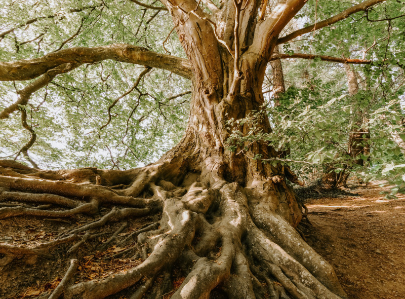 Sarum College: Centre for Learning and Hospitality in Salisbury, England